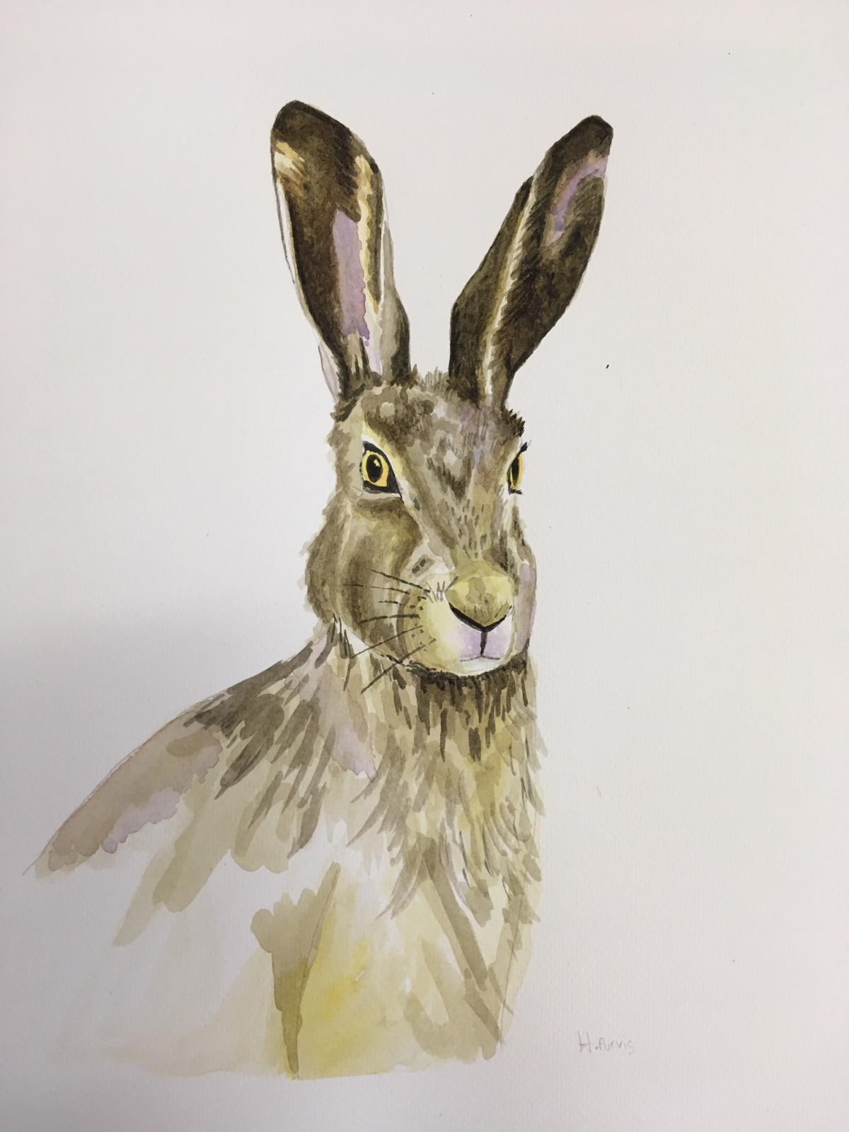 Botanic Drawing & Painting (Beginners to Intermediate) - Putney School ...